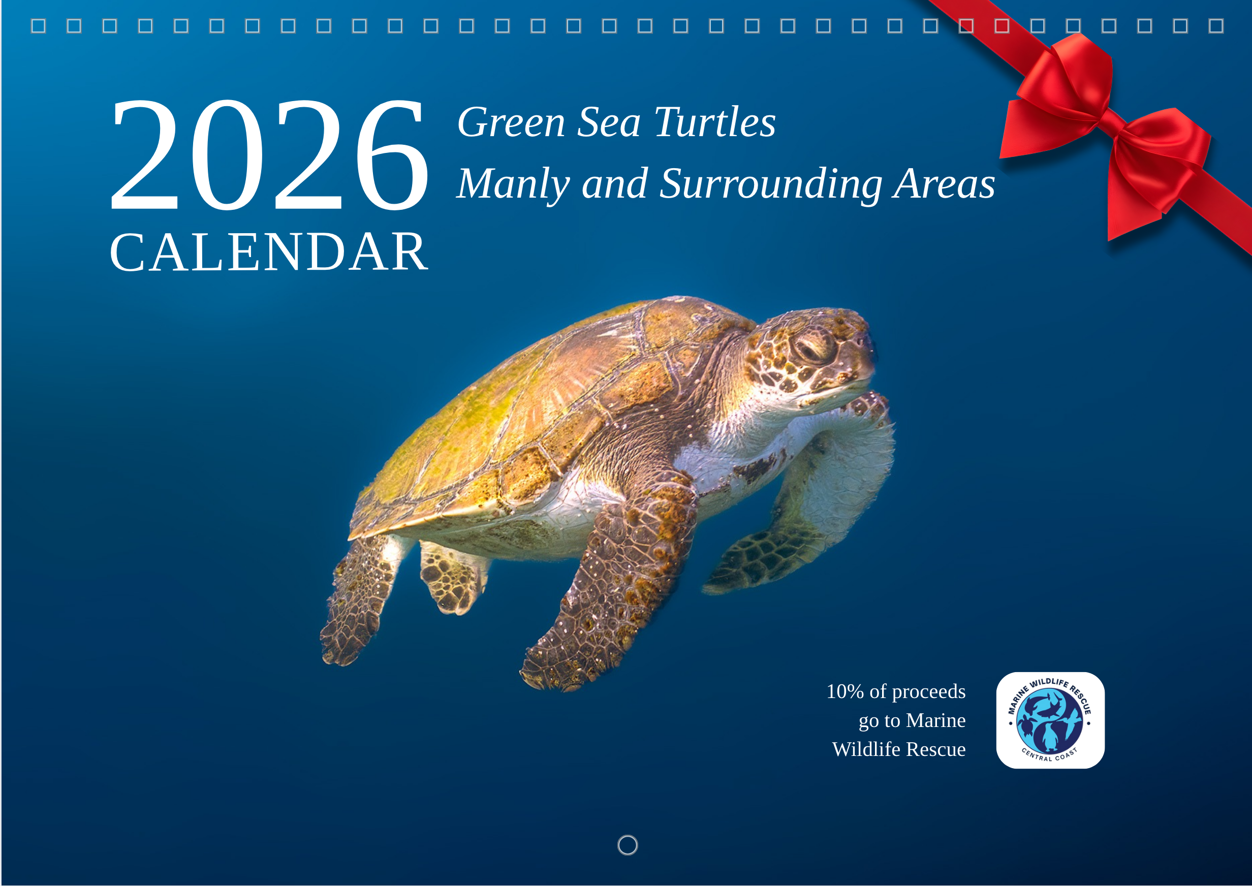 2026 Australian Green Sea Turtle Calendar – Down Under Oceans