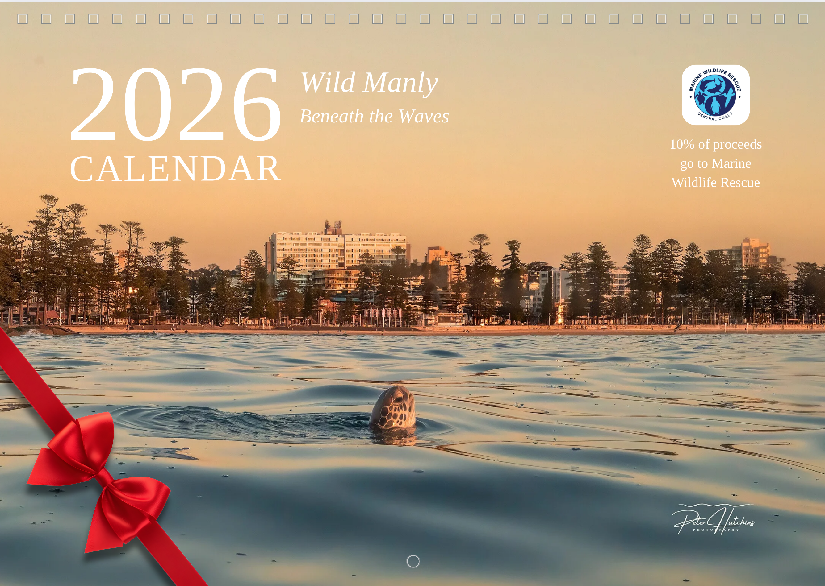 2026 Wild Manly Calendar – Beneath the Waves – Down Under Oceans